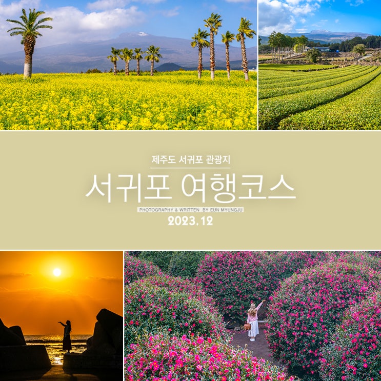 서귀포 여행 코스 제주도 관광지 관광지도 네이버 블로그