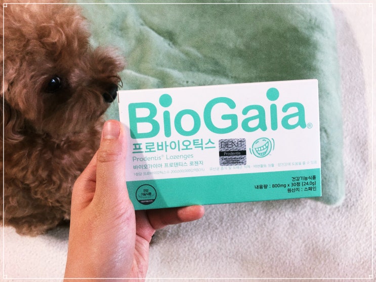 글루타치온 필름 효능 구강유산균 내돈내산 복용방법 후기 비교분석 네이버 블로그