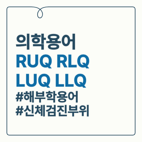 의학용어 RLQ RUQ LLQ LUQ 배와 등의 해부학적 구분/ 임상검진 부위 용어 간단히 알아보기 : 네이버 블로그
