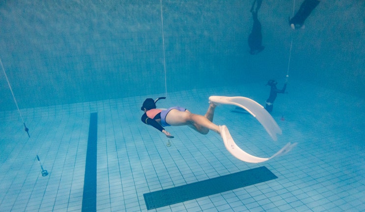 프리다이빙 자격증 종류 PADI AIDA 뭐가 다를까? : 네이버 블로그