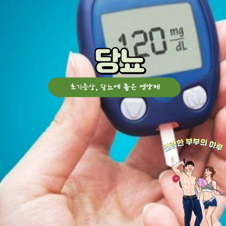 당뇨에 좋은 영양제 초기당뇨증상 원인 당뇨전단계 식단 에이투젠 혈당엔 유산균 Hac01 네이버 블로그