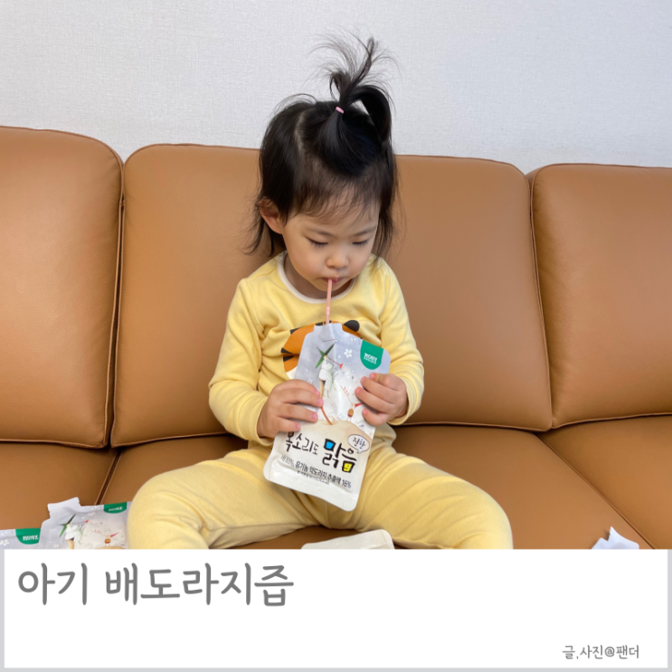 아기 배도라지즙 시기 언제부터 진짜 진한 로지오가닉 목소리도 맑음 추천 네이버 블로그