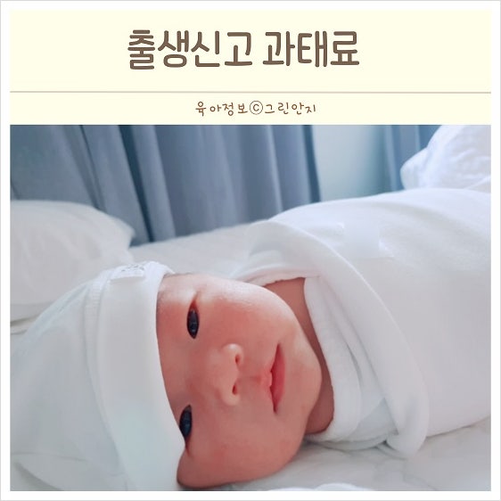 출생신고 준비물 신고방법 온라인 동사무소 서류 양식 과태료 기간 네이버 블로그