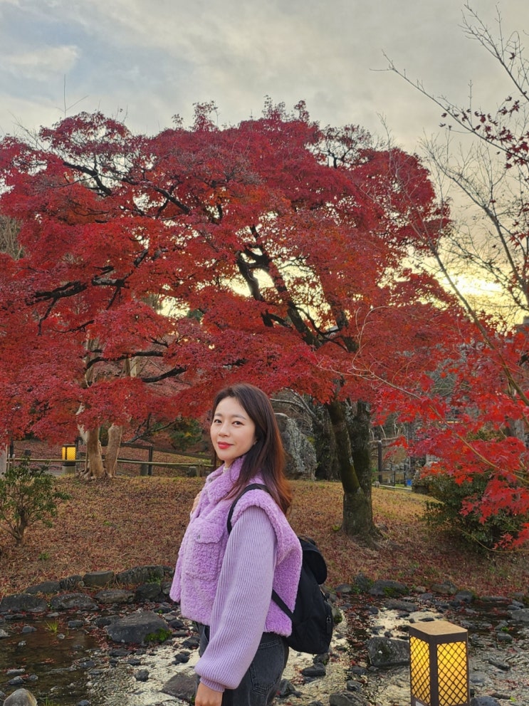 일본 오사카and교토 12월 1월 날씨 옷차림 청수사 단풍 네이버 블로그