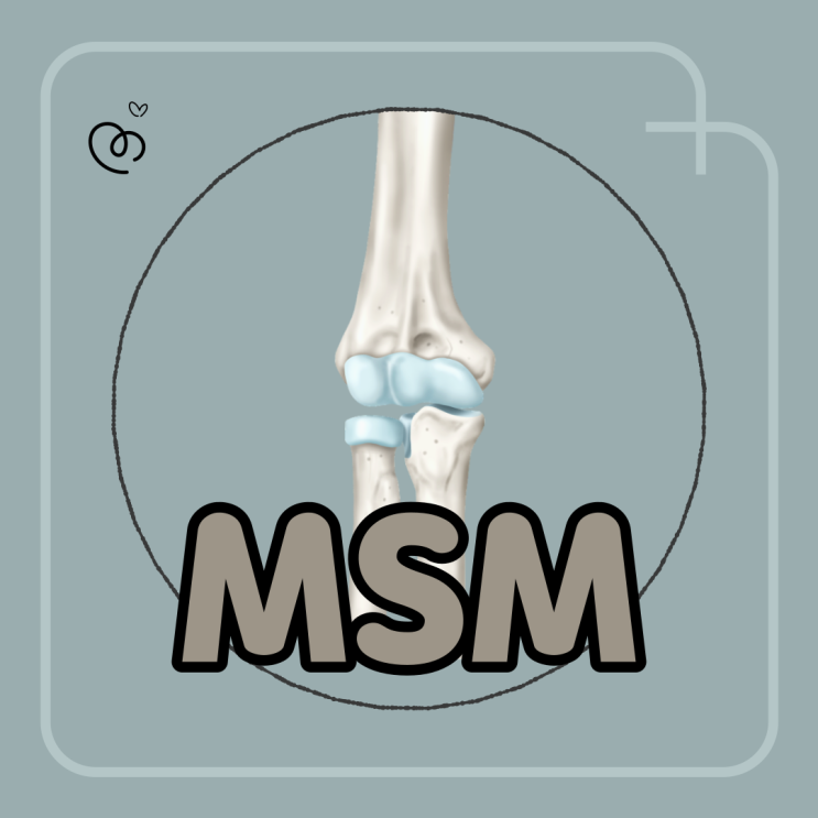 MSM 엠에스엠 부작용 관절연골 영양제 옵티머스트 : 네이버 블로그