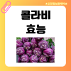 콜라비 효능 부작용 및 주의사항칼로리 알아보기 네이버 블로그