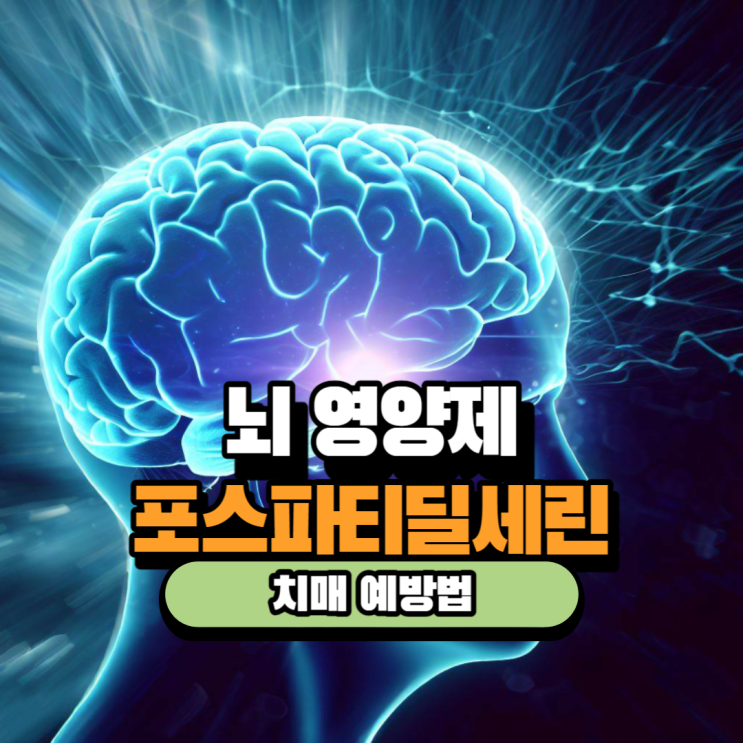 치매예방 뇌영양제 포스파티딜세린 집중 탐구 네이버 블로그