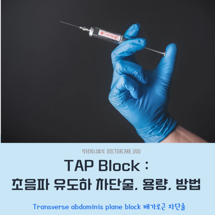 TAP block (transverse abdominis plane, 배가로근면 차단술)에 관하여 (1) : 네이버 블로그