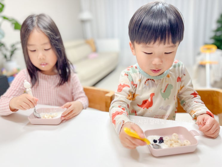 그릭요거트 메이커 퀸누스 로 유아 어린이 간식 수제요구르트만들기 네이버 블로그
