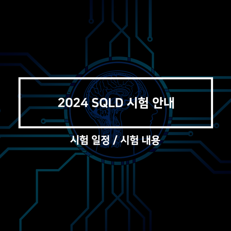 [비전공자 개발자] 2024 SQLD 시험 일정 : 네이버 블로그