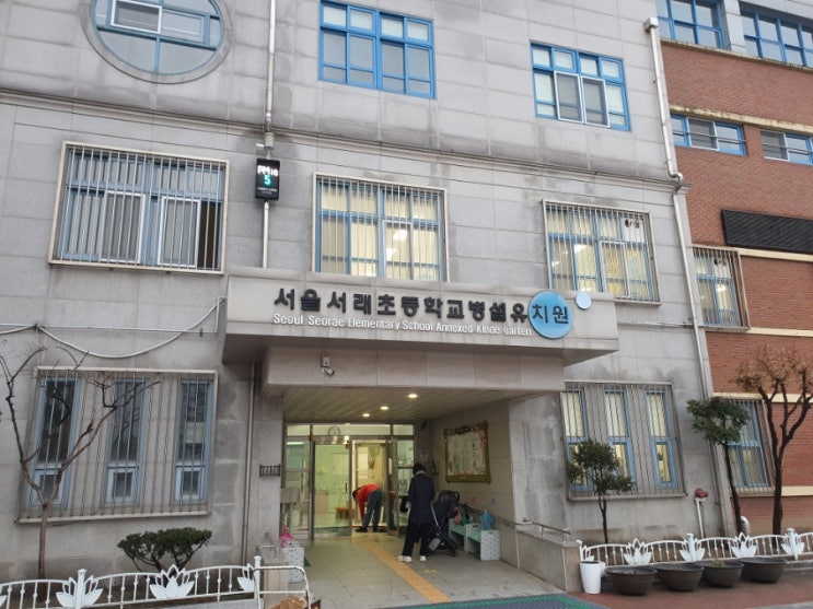 서울 서초 서래초등학교 병설유치원 교사연수 초보목공배우기 세월을 담은 나만의 캄포나무 도마만들기 목공원데이클래스 목공교육 전문가