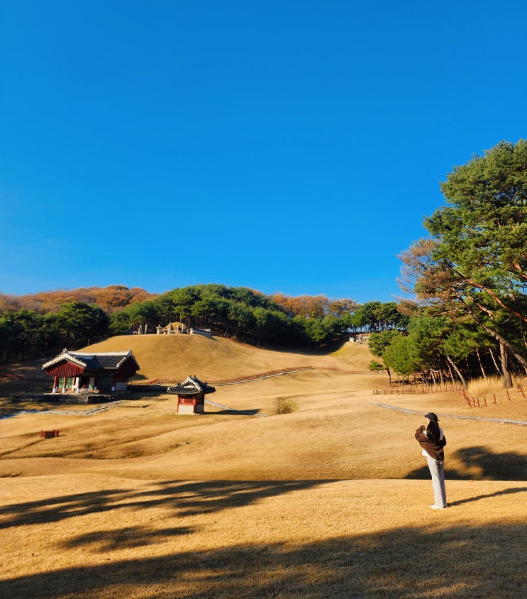 경기도 아이와 가볼만한곳 구리 동구릉 주차장 입장료 서울 근교 당일치기 여행 뚝딱 네이버 블로그