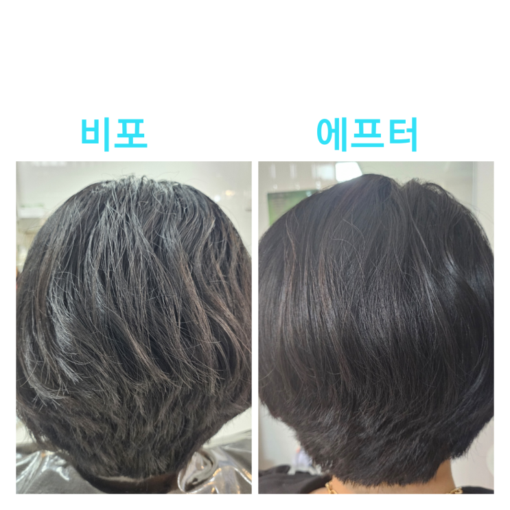 부산 동래구 두피 디톡스 머리카락 영양듬뿍 세이프존 홈케어 가능 네이버 블로그