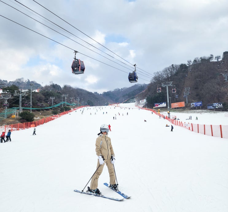 홍천 비발디파크 스키장 렌탈샵 찌찌뽕 추천 픽업 리프트권 할인 가격 정보 네이버 블로그