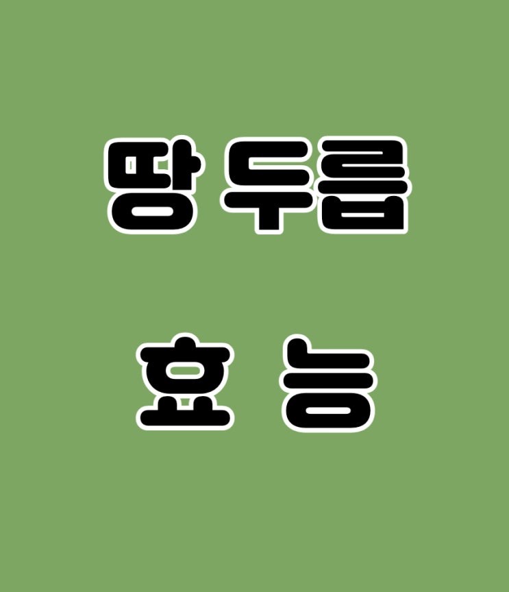 땅두릅 효능 : 네이버 블로그