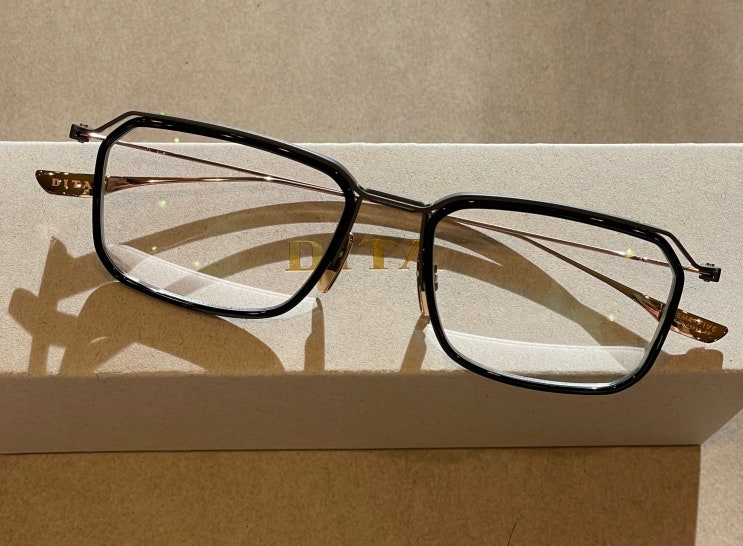 디타 스키마5 (SCHEMA-FIVE) 안정적인 착용감의 디타안경 : 네이버 블로그