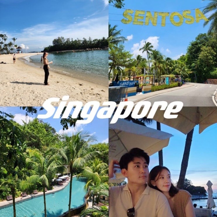싱가포르🇸🇬 Day12 5박7일 여행코스 스쿠트항공 비보시티 야쿤카야토스트 페어프라이스 송파바쿠테 Foc
