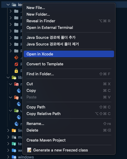 [Flutter] Iphone 기기에 빌드하기 : 네이버 블로그