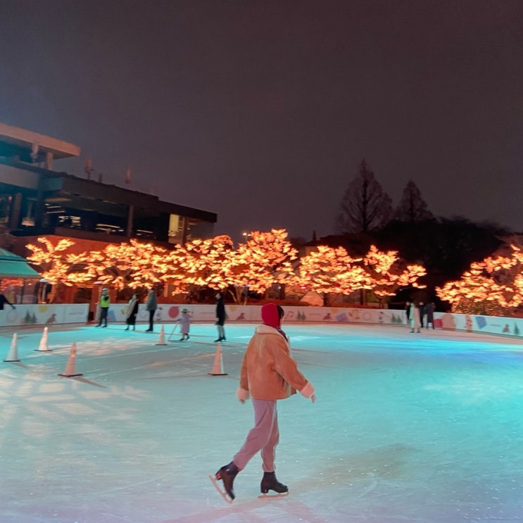 그랜드하얏트 서울 아이스링크 윈터 온 아이스 패키지⛸️ 네이버 블로그