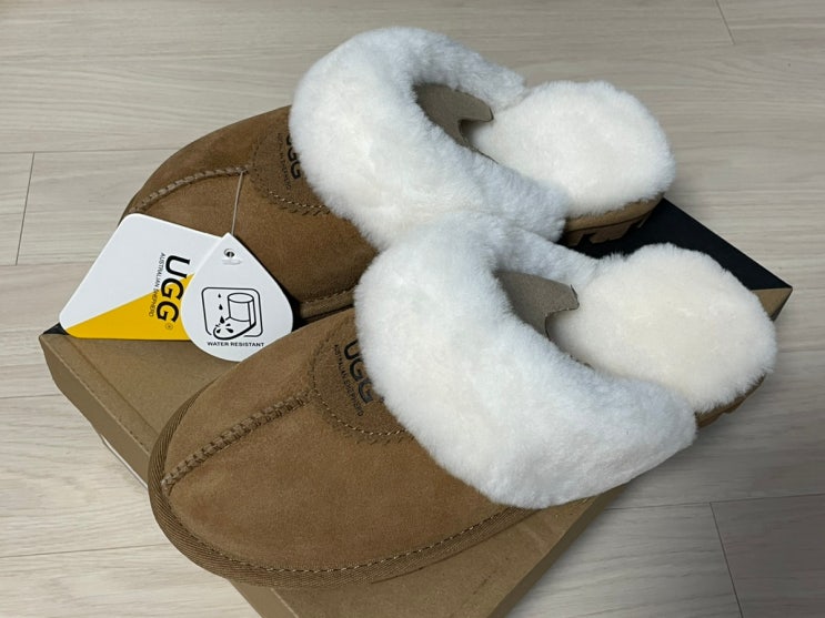 호주 에버어그 슬리퍼 체스트넛 와플어그 색상 사이즈추천 내돈내산 네이버 블로그
