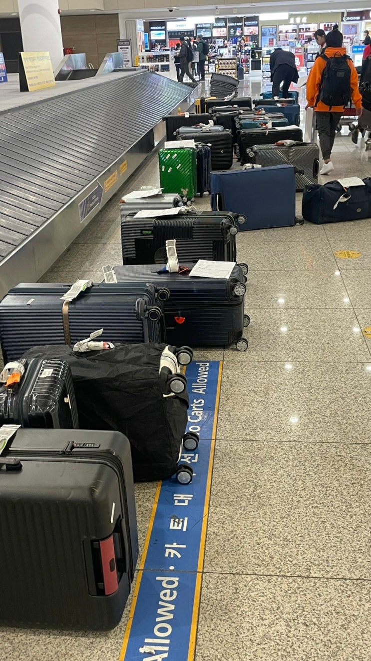 루프트한자 항공 수하물 지연 후기 및 보상 규정 정리 네이버 블로그