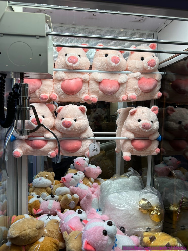 10월 싱가포르 신혼여행 - 6 (둘째날 일정(2), 부기스, BUGIS+, Rocku Yakiniku, BJB-BUGIS ...