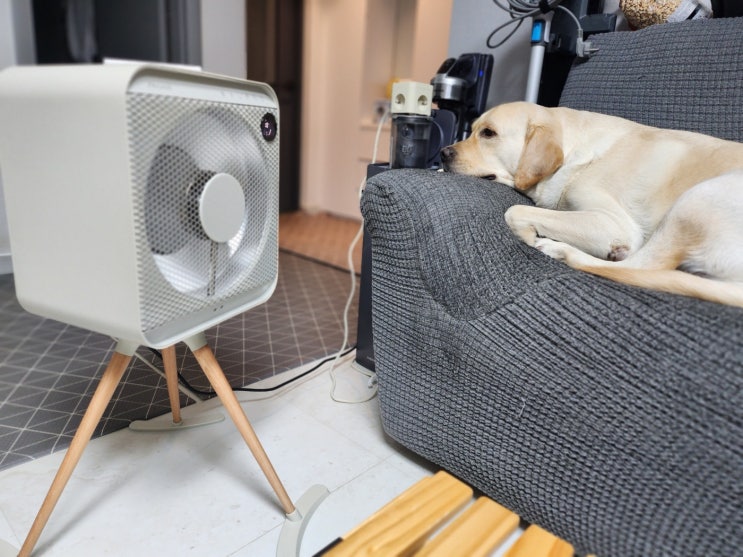 신일 에코 팬 큐브 히터 Eco Fan Cube Heater : 네이버 블로그