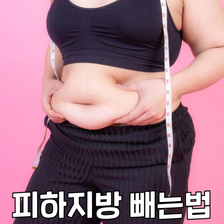 피하지방 내장지방 빼는법 체계적인 운동 정리 네이버 블로그