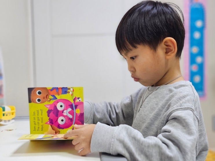6세영어 스콜라스틱 파닉스 리더스 래프어랏 단모음 시작 네이버 블로그