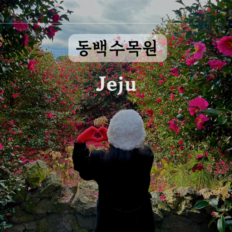 겨울 제주 가볼만한곳 동백꽃 명소 제주 동백수목원 개화상황 입장료 주차 네이버 블로그