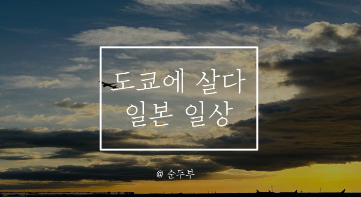 일본 도쿄 일상생활 12월 해변 공원 하네다 공항 근처 드라이브 도쿄 게이트 브릿지 로프트 도시락통 구경 프랑프랑