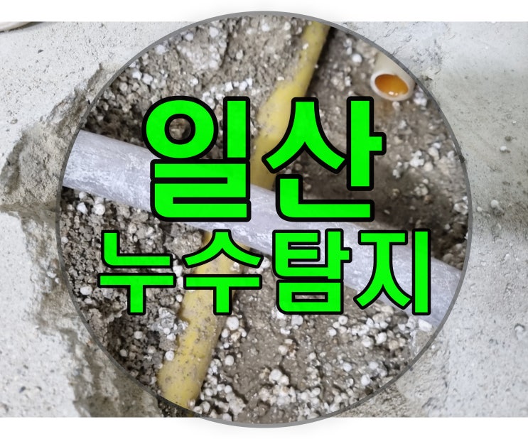 주엽동 누수탐지 탄현동 빌라 주방 천장 누수 문촌 마을 1단지 우성 아파트 수도 배관 누수 해결 네이버 블로그