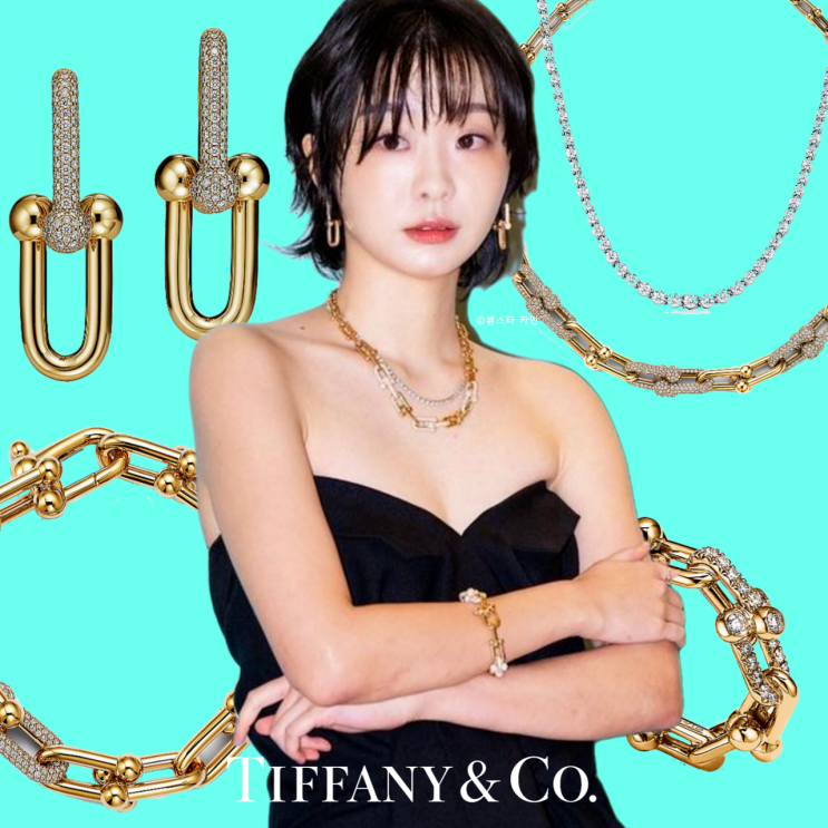 김다미 티파니앤코 3억 목걸이 명품 귀걸이 다이아 반지 팔찌 하드웨어 가격숏컷 헤어스타일 네이버 블로그
