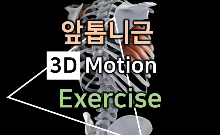 Serratus anterior 강화를 위한 움직임 총정리. 3D motion Protraction Exercise.[전거근 ...
