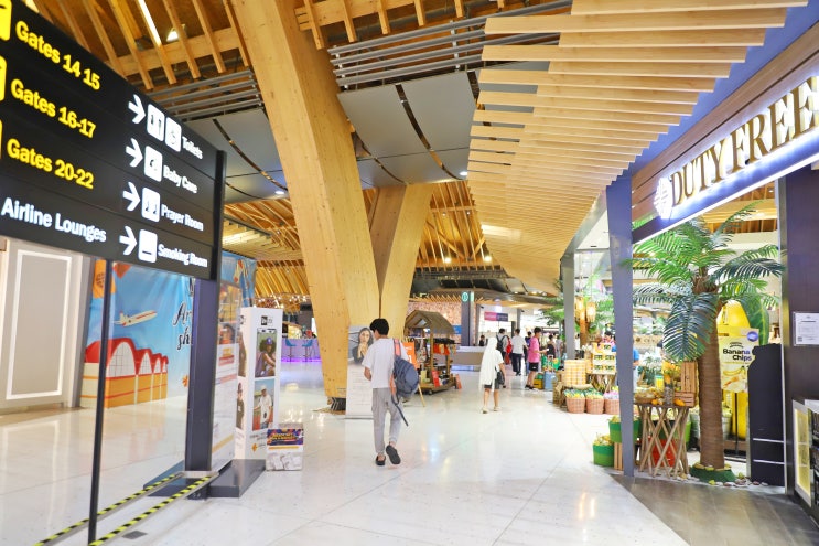 세부 항공권 정보 아시아나 기내식 이트래블 세부공항 입국 출국 상황 네이버 블로그