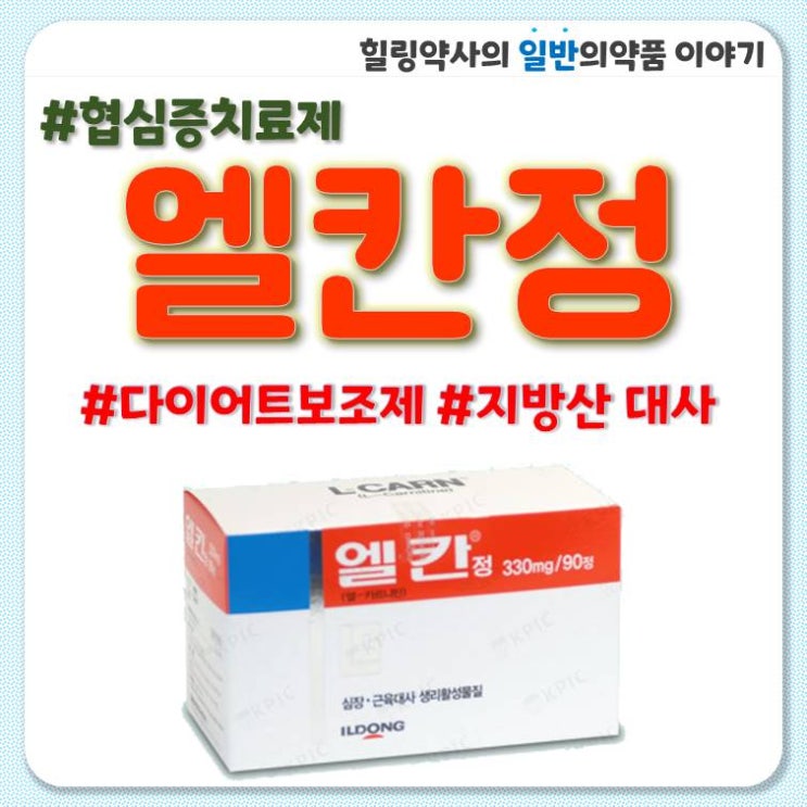 엘칸정 엘칸정330mg L카르니틴 지방산 대사 다이어트 약국 보조제 효능 효과 복용법 부작용 가격 엘칸 330mg 네이버 블로그