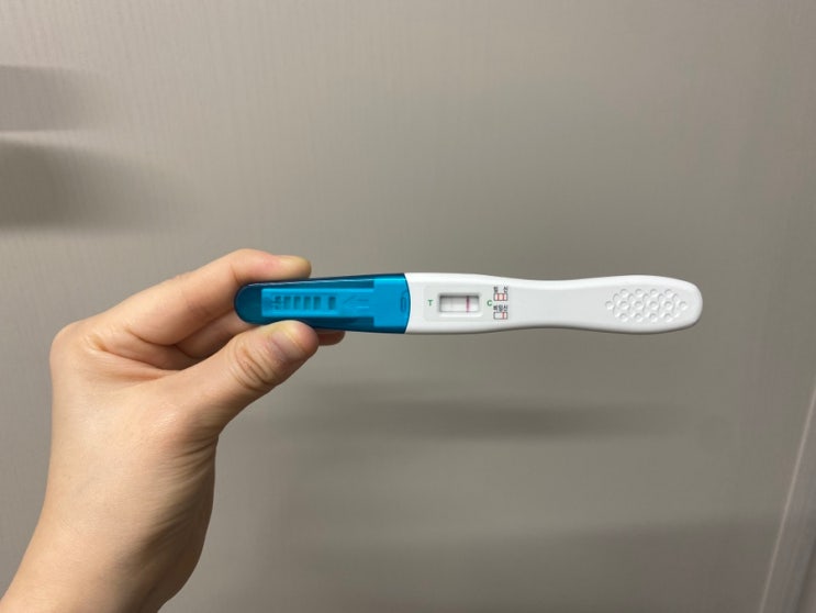 극j 계획 임신준비과정 얼리테스트기 원포 임신테스트기 임신여부 확인하기 계획임신 장단점 그리고 벌떡주d 네이버 블로그