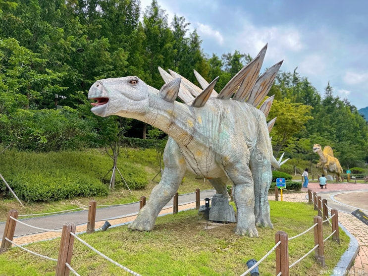 대구 아이와 가볼만한곳 앞산 등산로 고산골 공룡 공원 테마파크 산책로 애견동반 네이버 블로그