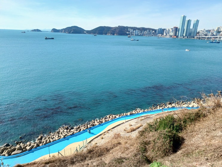 동래 롯데캐슬 시그니처 분양가를 보니상급지 분양가 저렴한 곳들은 기회일수도 네이버 블로그