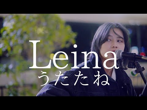 Leina(레이나) - うたたね(선잠) 가사/번역/독음/MV : 네이버 블로그