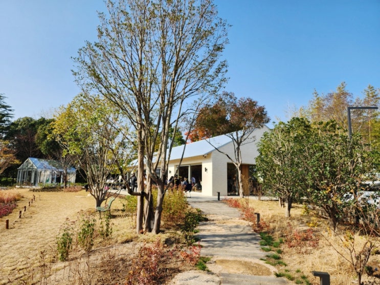 부산 신상스타벅스 기장임랑원점 임랑바다 앞 숲속같은 카페 네이버 블로그