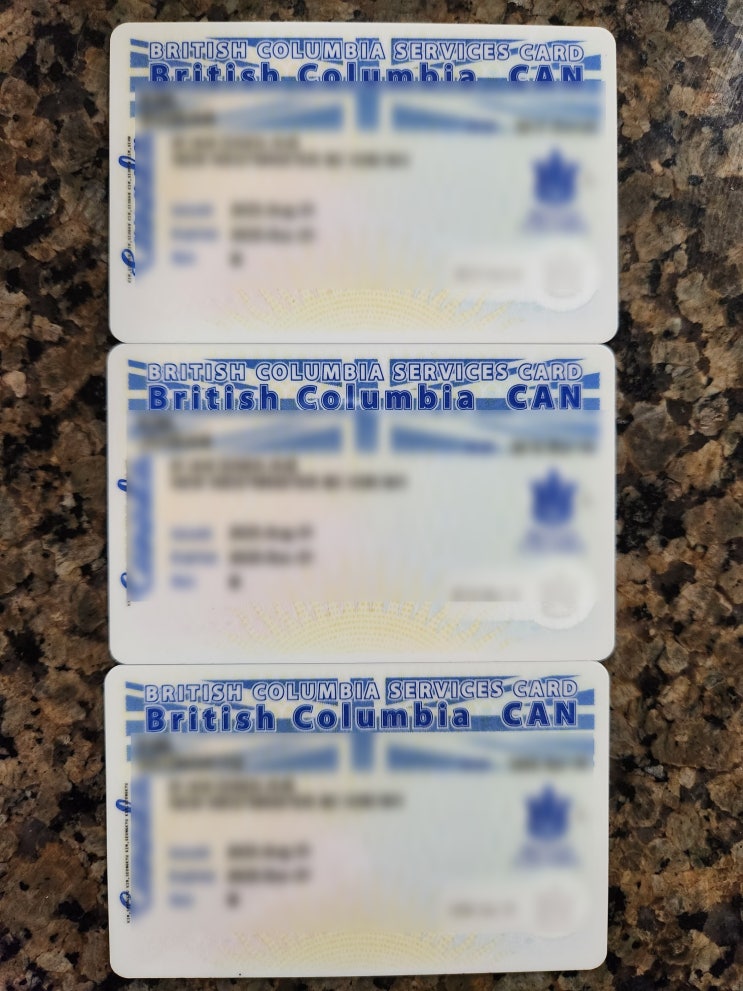 [의료] 캐나다 BC주 건강보험 MSP 신청방법 및 비용, 지불방법 : 네이버 블로그