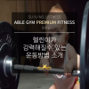 미아 Pt 에이블짐 헬린이를 위한 코어와 몸 전체를 강하게 만드는 운동 네이버 블로그