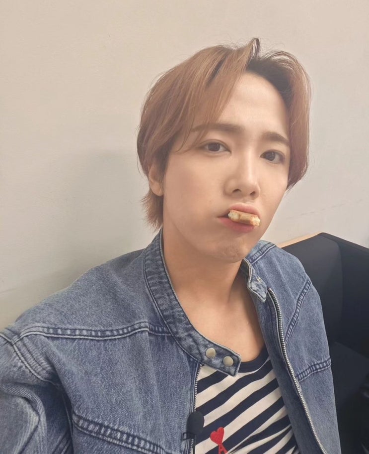 이홍기가 앓고 있다는 희귀병, 화농성 한선염이란? 원인과 치료방법 : 네이버 블로그