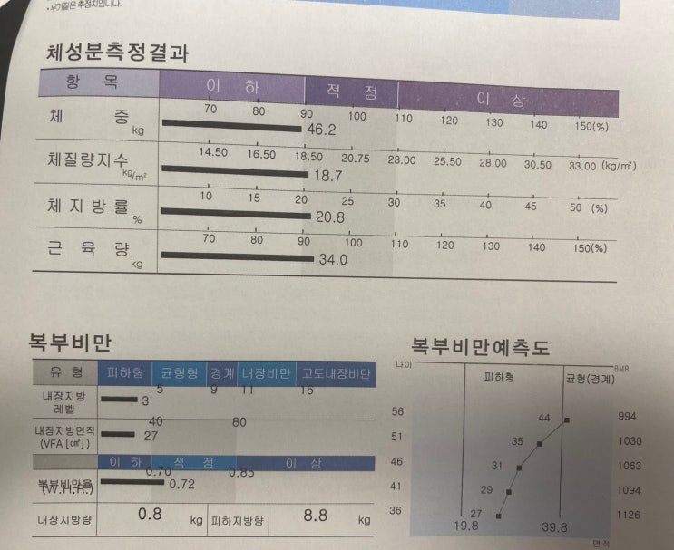 나의 다이어트 이야기1 출산 후 다이어트 다이어트방법 공유 네이버 블로그