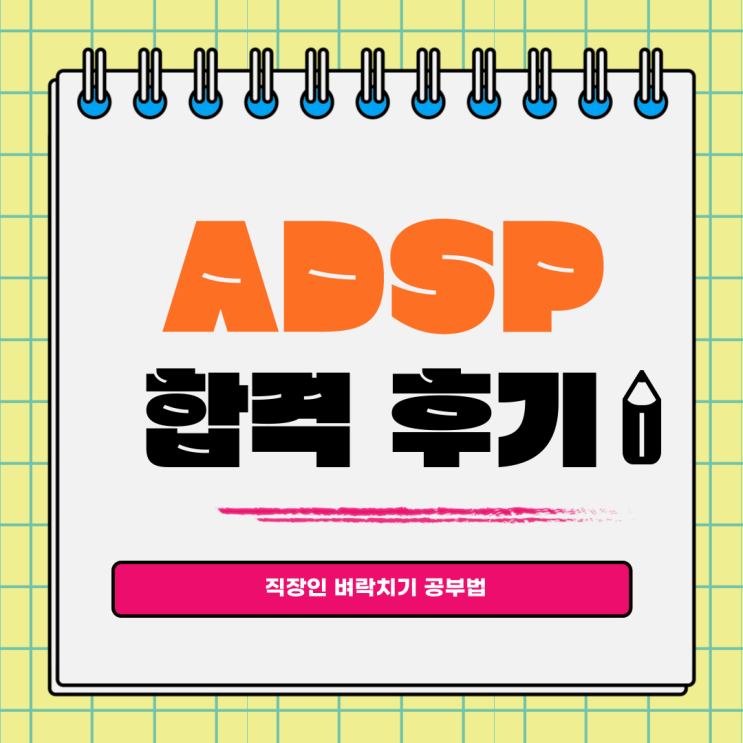 ADSP 합격(1과목 만점): 직장인 3주 벼락치기 adsp 독학 공부법 : 네이버 블로그