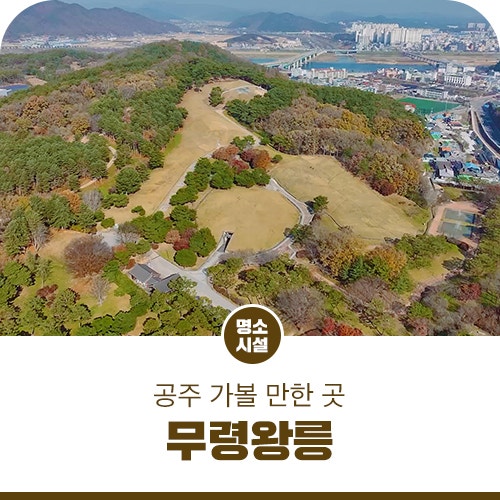 하늘에서 바라 본 공주 역사 명소 무령왕릉과 왕릉원 네이버 블로그