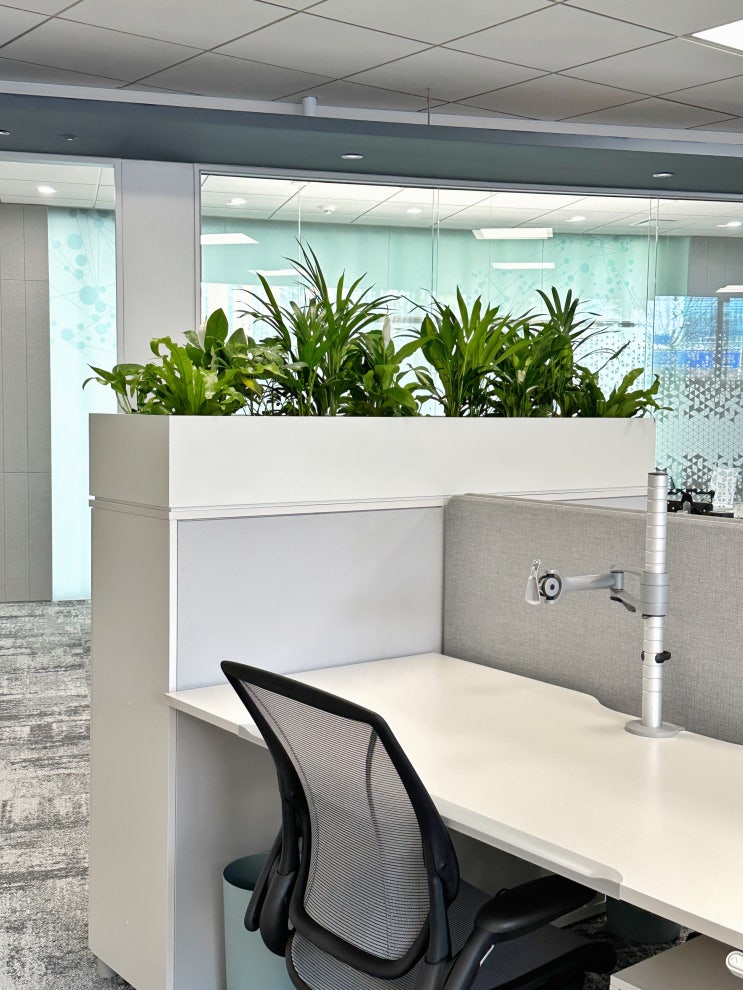 [서울/경기] 판교 사무실 선반 파티션 생화 플랜트박스 설치 시공 후기! : 네이버 블로그