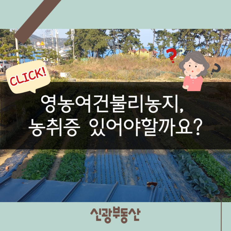 영농여건불리농지 농취증 필요한가요 네이버 블로그