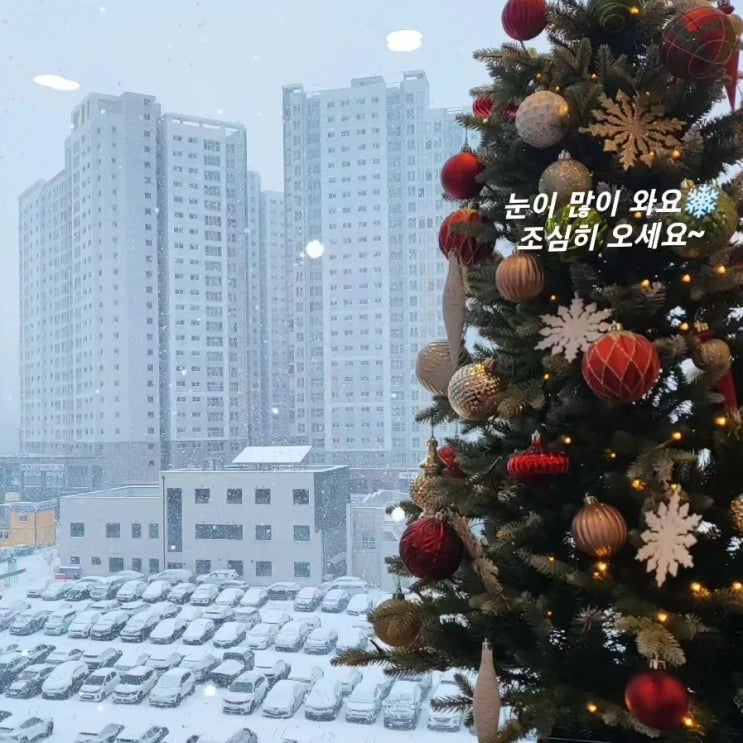 불당동 골프연습장 분위기 좋은 골프연습장 행복골프훈련소 천안점에서 행복골프하세요 네이버 블로그